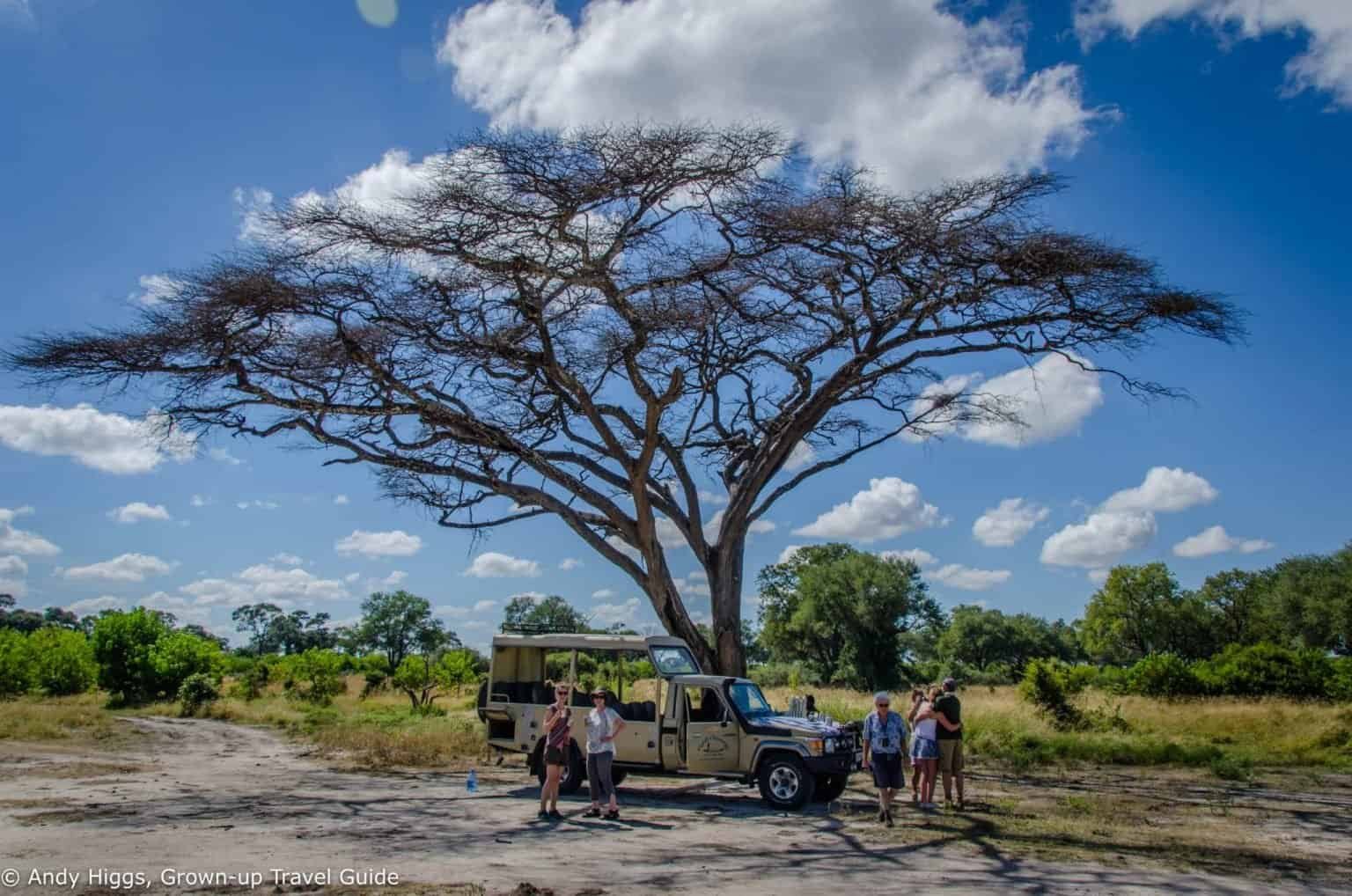 Safari Notes: Moremi Game Reserve, Botswana | The Grown-Up Travel Company